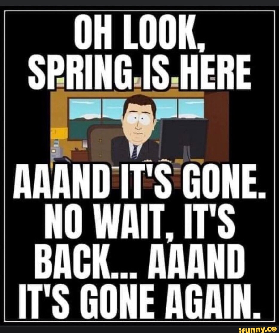 Video memes G8W4F55MA by 479lawnmower - iFunny