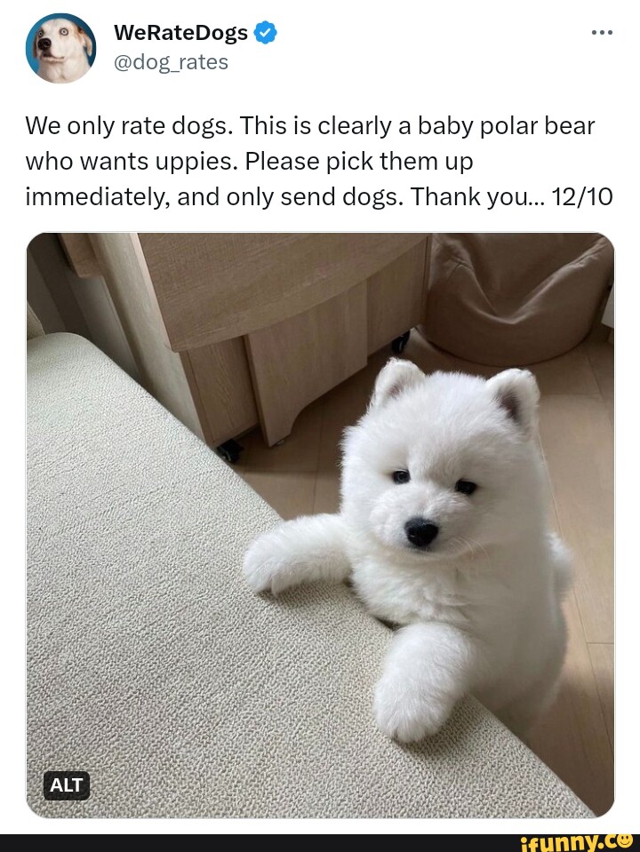 SNAKES ACTIVE IN THIS AREA PLEASE FLUSH BEFORE USE - iFunny