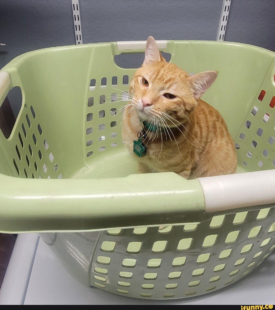 Ppp memes. Best Collection of funny Ppp pictures on iFunny