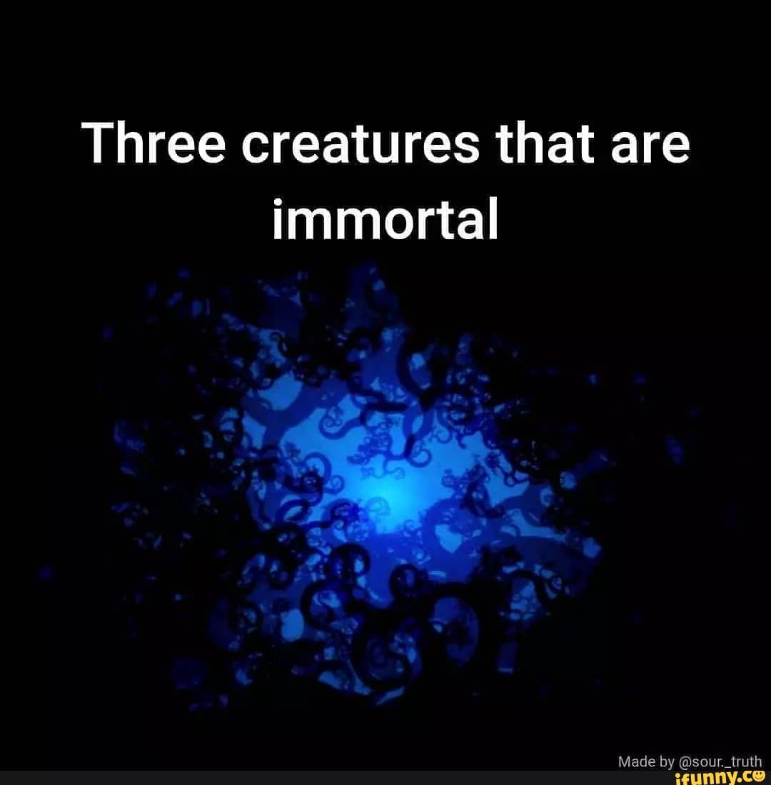 Three creatures that are immortal - iFunny