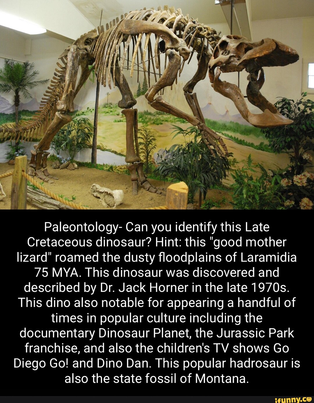 Paleontology- Can you identify this Late Cretaceous dinosaur? Hint ...