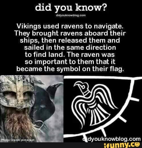 Did you know? Vikings used ravens to navigate. They brought ravens ...