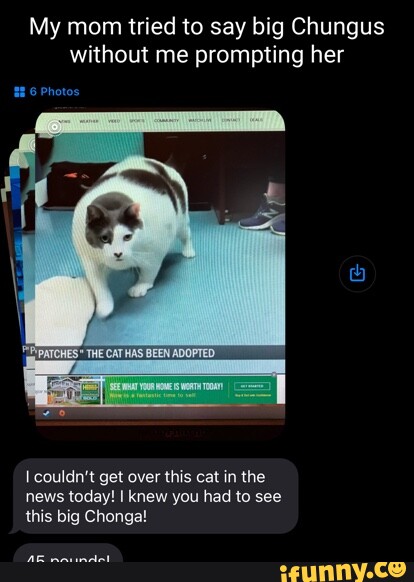 My mom tried to say big Chungus without me prompting her I couldn't get ...