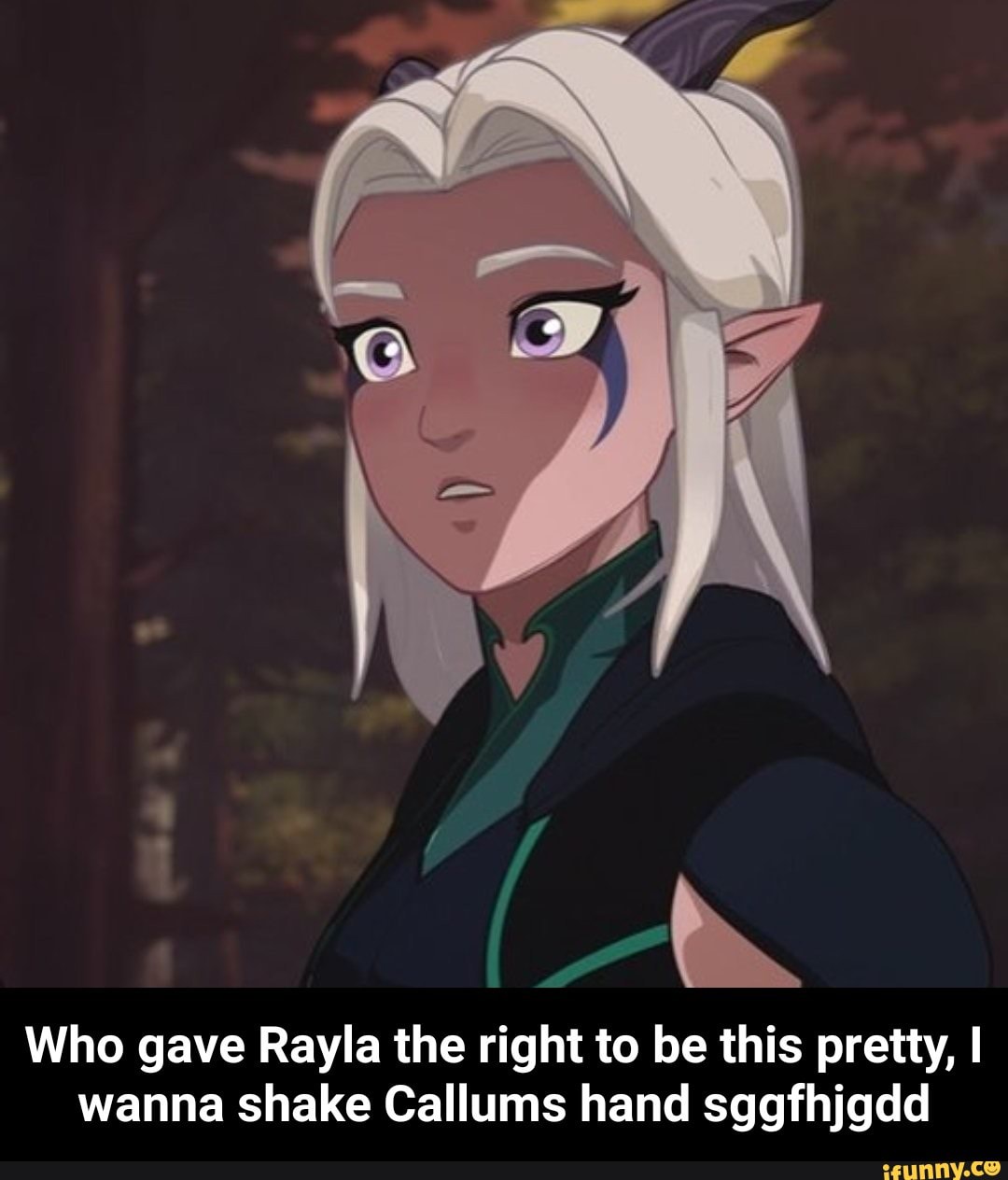 Who gave Rayla the right to be this pretty, I wanna shake Callums hand ...
