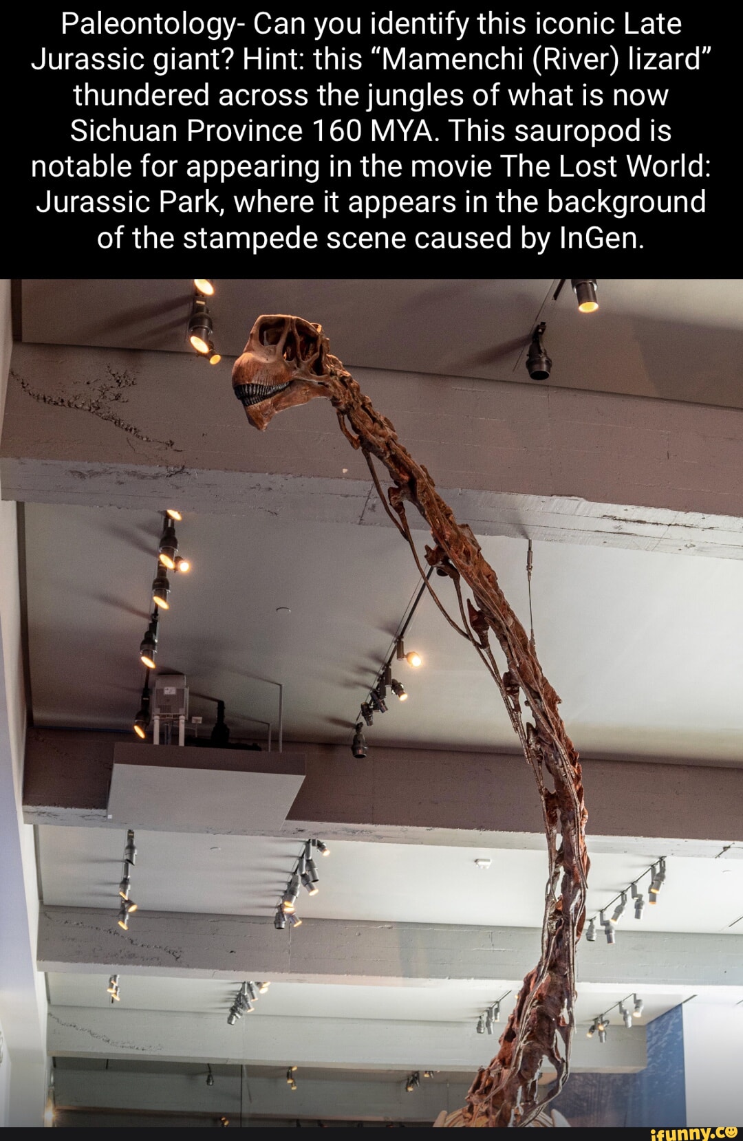 Paleontology- Can you identify this iconic Late Jurassic giant? Hint ...