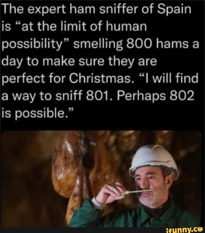 Guys with a scat fetish looking at shitposts - iFunny