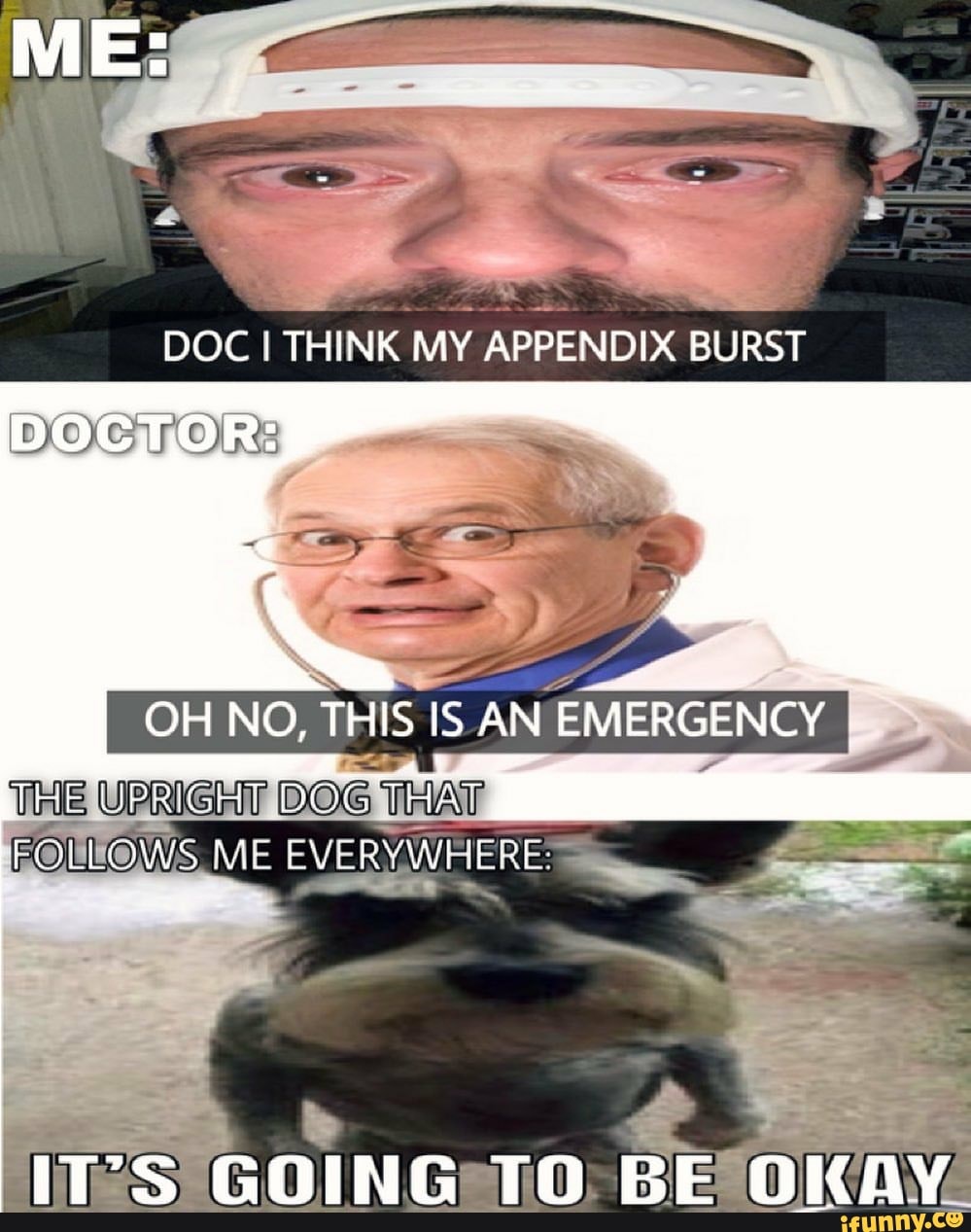 DOC I THINK MY APPENDIX BURST DOCTOR: OH NO, THIS IS AN EMERGENCY THE ...