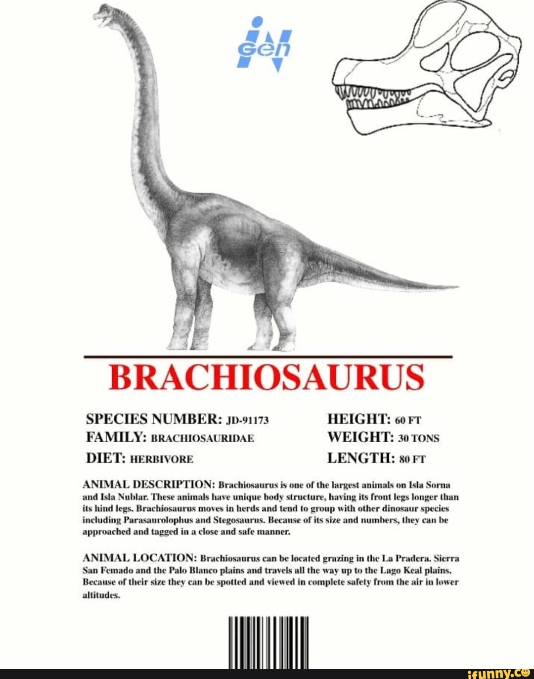 BRACHIOSAURUS SPECIES NUMBER: Jp-91173 HEIGHT: 60 Ft FAMILY ...