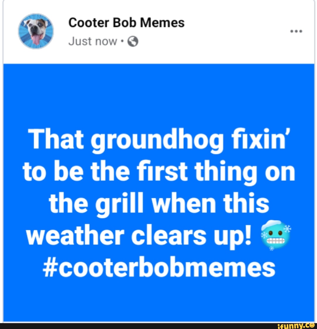 Groundhog memes. Best Collection of funny Groundhog pictures on iFunny
