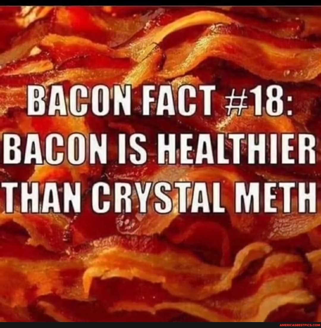 FACT BACON IS HEALTHIER THAN CRYSTAL METH - America’s best pics and videos