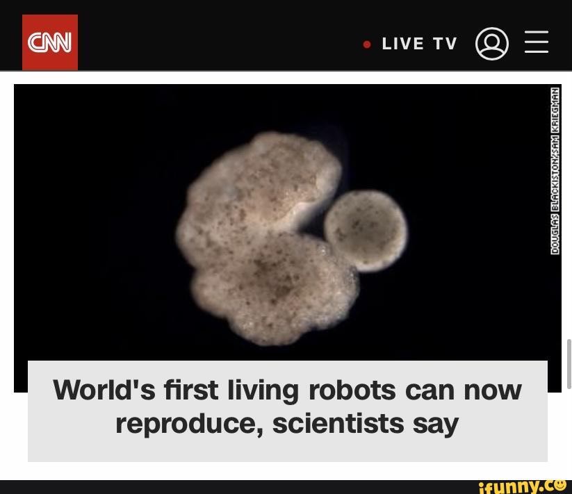 LIVE World's first living robots can now reproduce, scientists say - iFunny