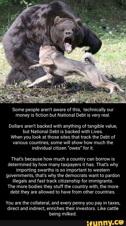 Tangible memes. Best Collection of funny Tangible pictures on iFunny