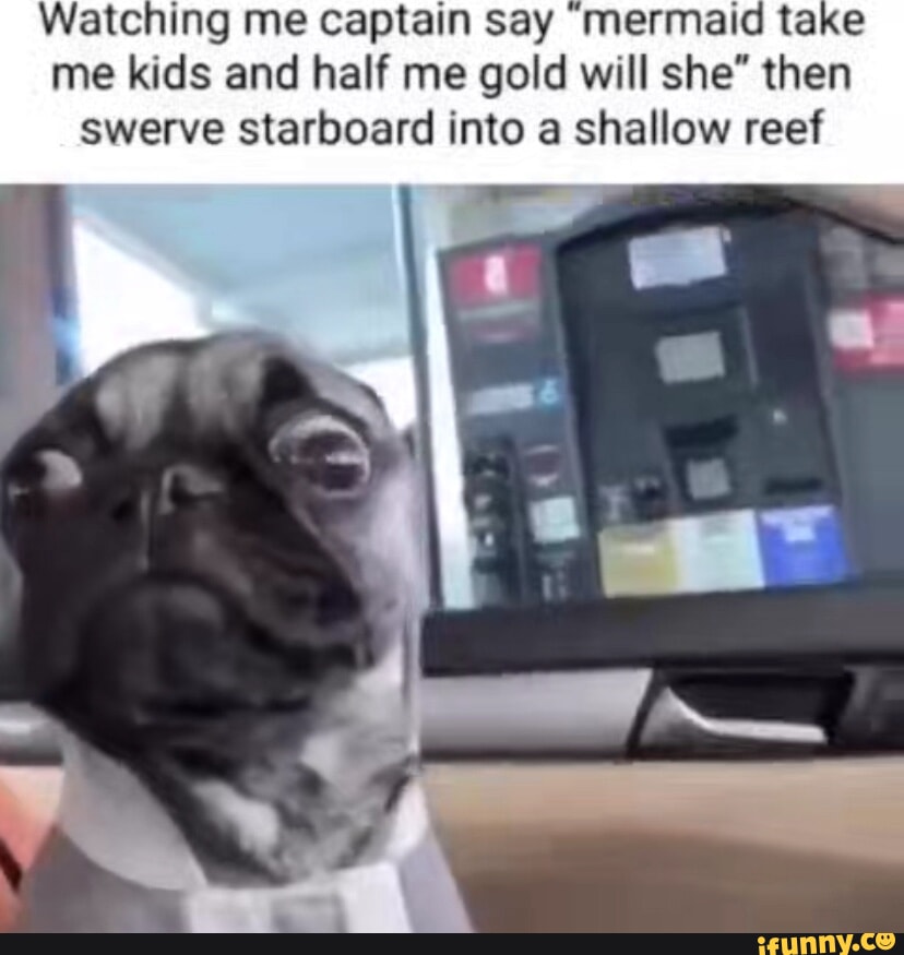 Watching me captain say "mermaid take me kids and half me gold will she ...