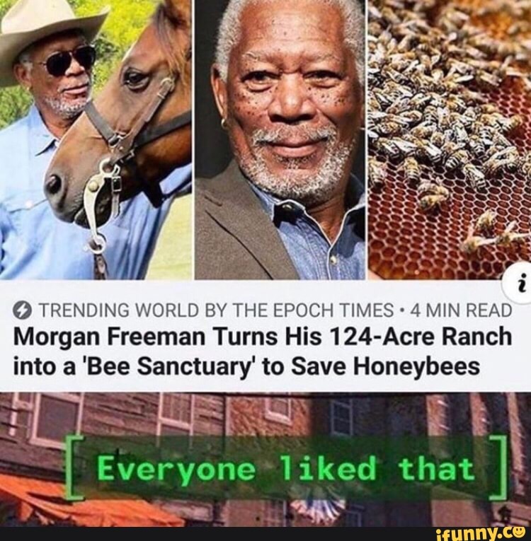 O TRENDING WORLD BY THE EPOCH TIMES - 4 MIN READ Morgan Freeman Turns ...