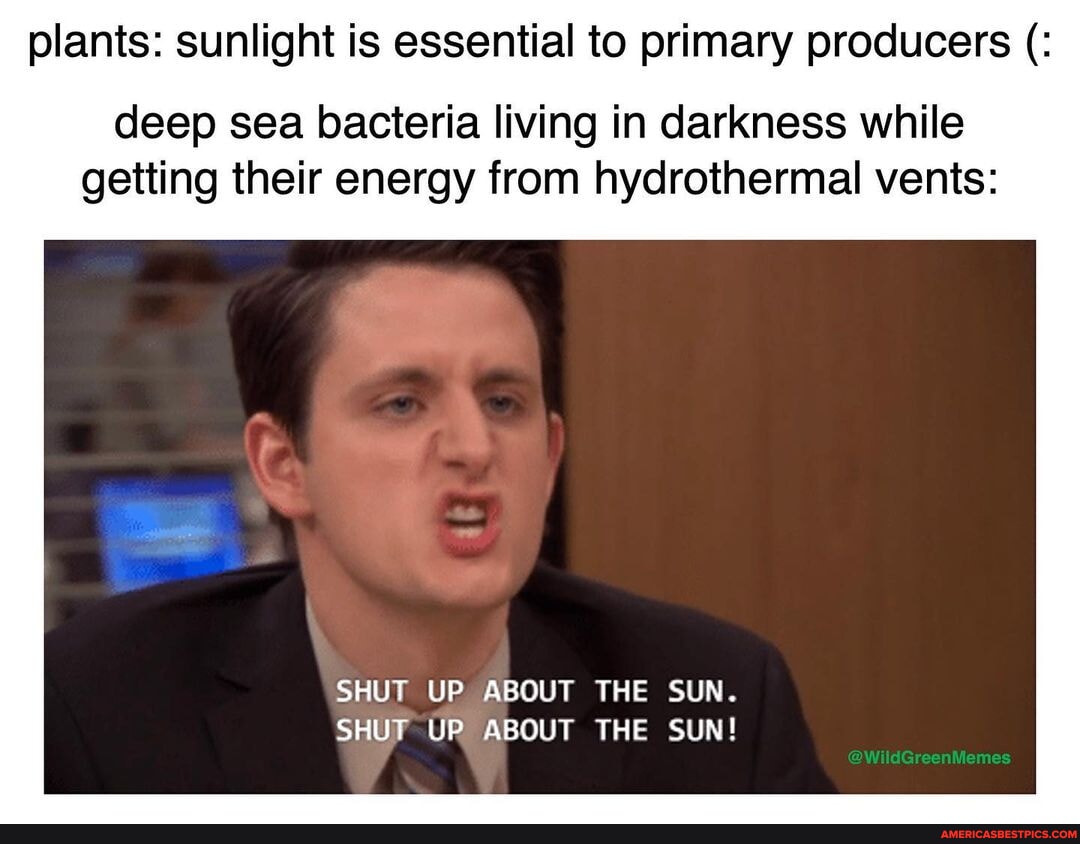 ☀️ Meme by @beingevolved - plants: sunlight is essential to primary ...