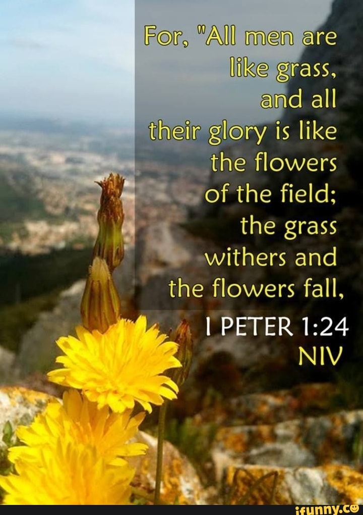 Fer, "All men are like @rass, all their glory is like the flowers of ...
