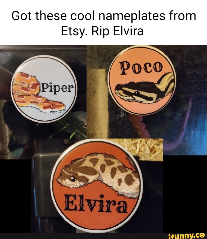 Etsy memes. Best Collection of funny Etsy pictures on iFunny