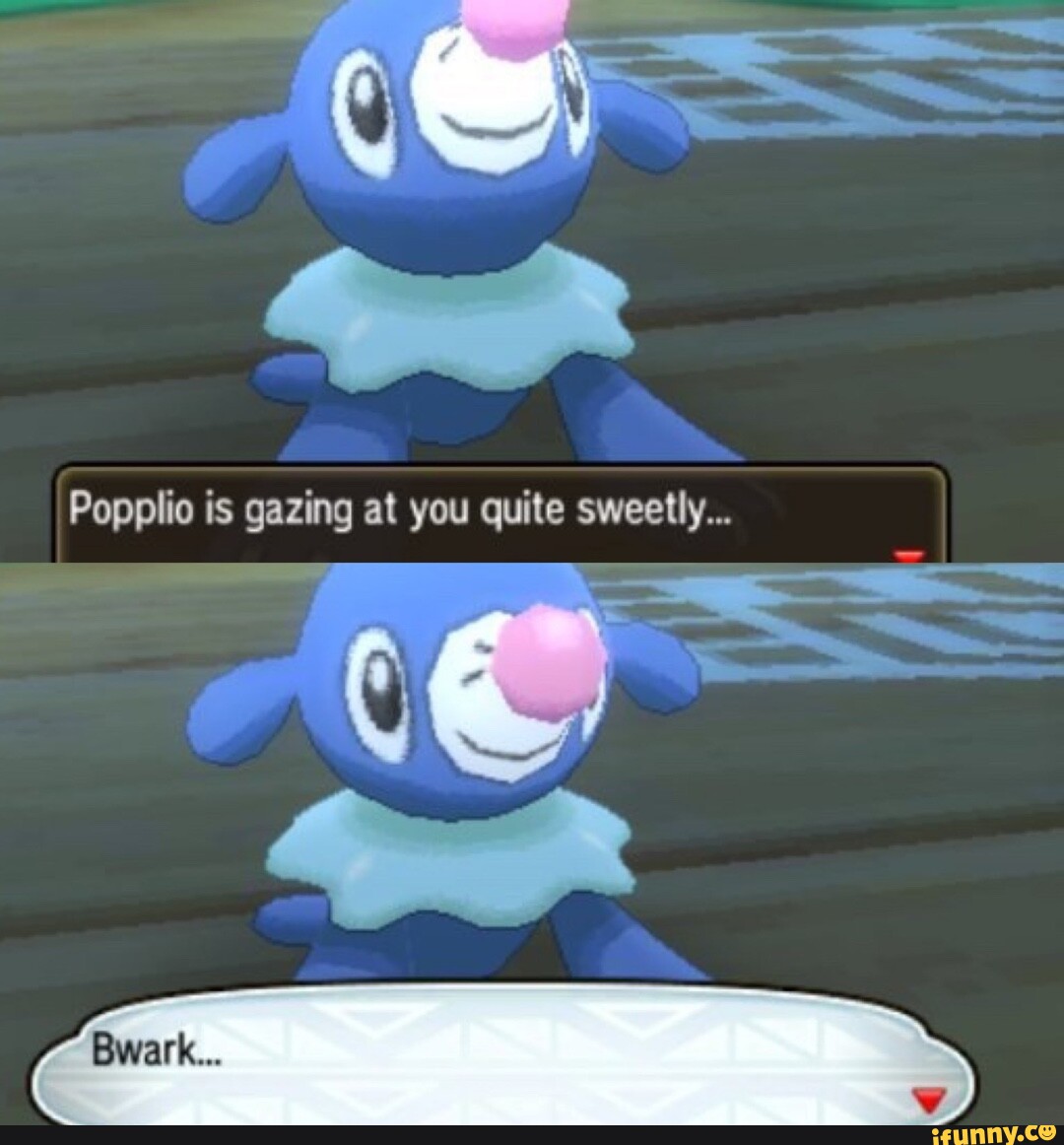 Popplio memes. Best Collection of funny Popplio pictures on iFunny