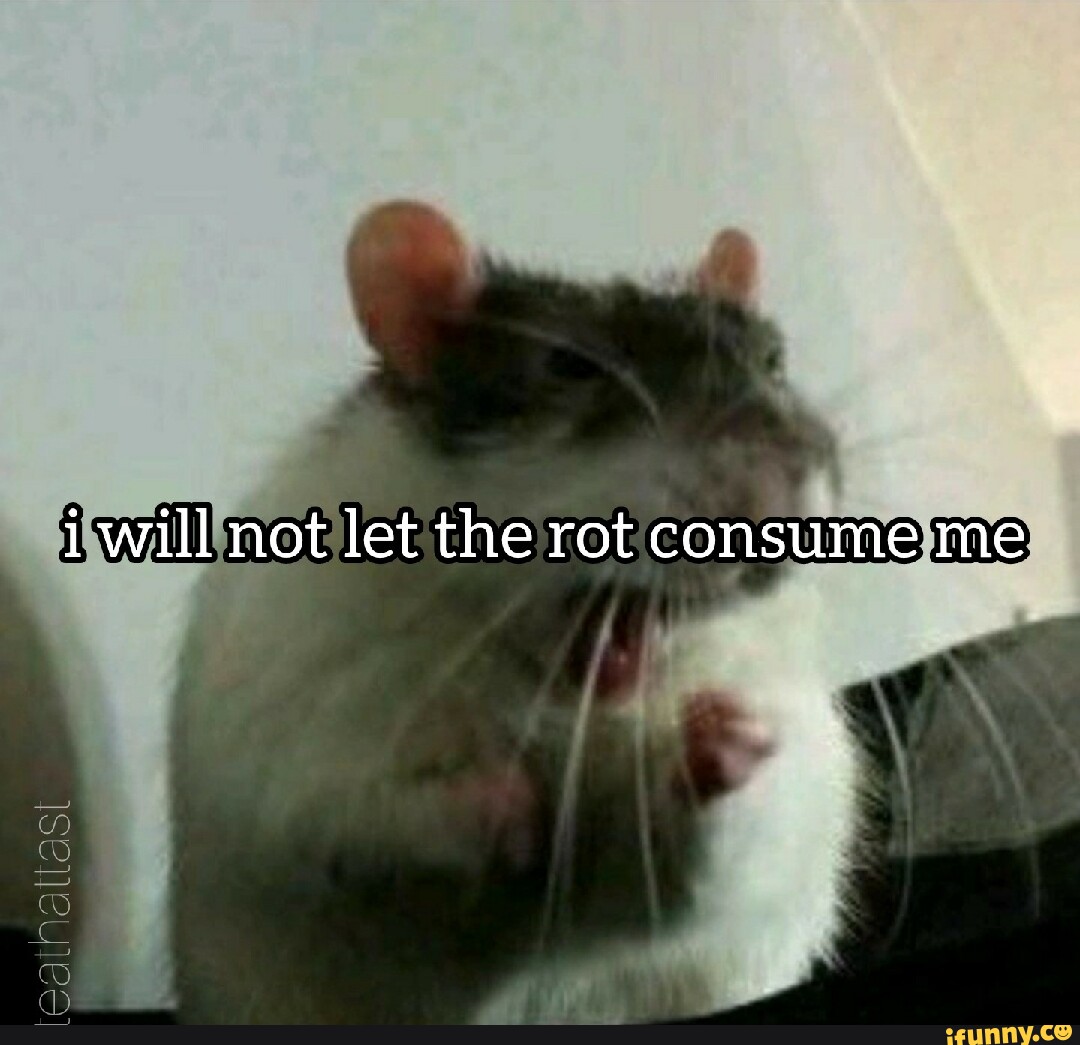 I will not let the rot consume me - iFunny