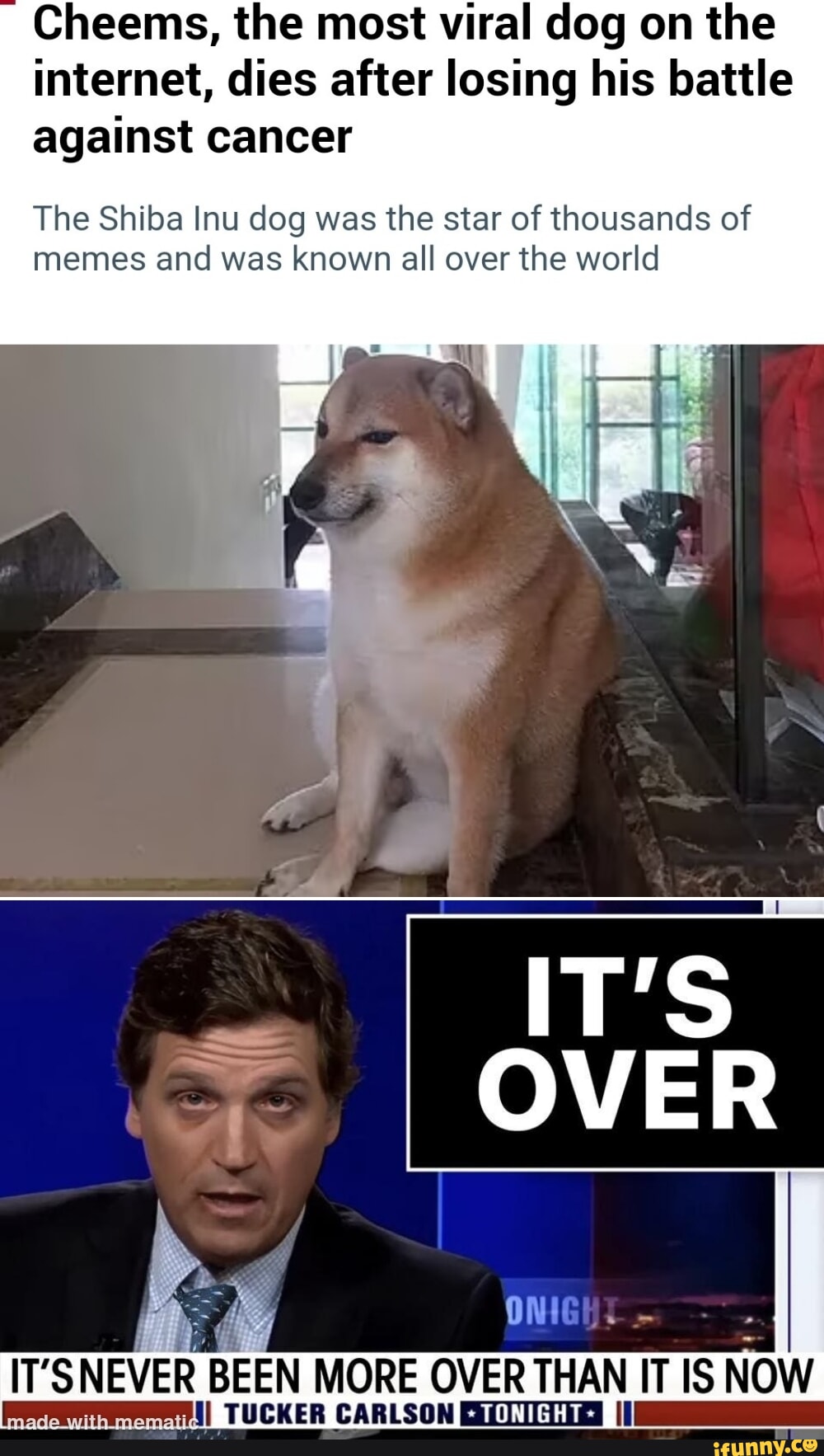 Cheems, the most viral dog on the internet, dies after losing his ...