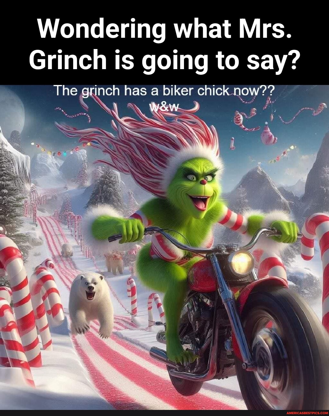 Wondering what Mrs. Grinch is going to say? The grinch has a biker ...