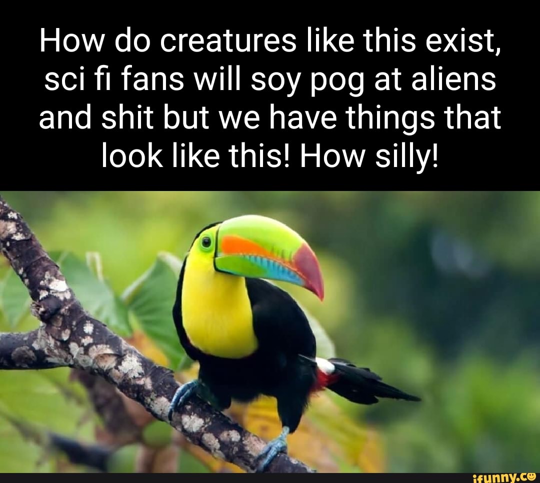 How do creatures like this exist, sci fi fans will soy pog at aliens ...