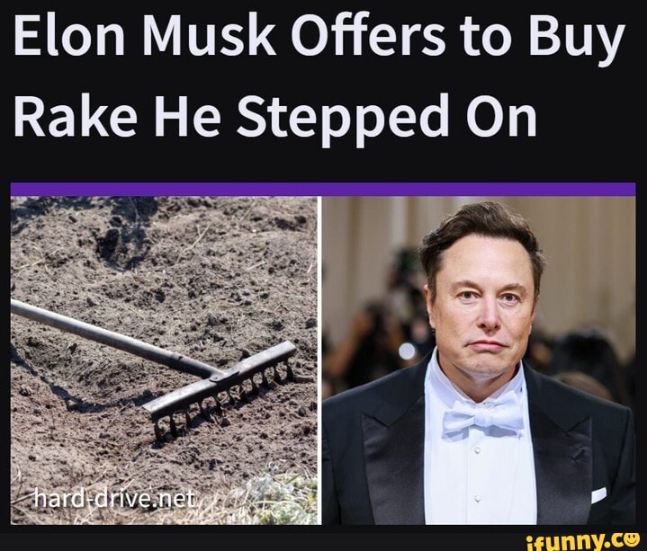 Elon Musk Offers to Buy Rake He Stepped On - iFunny