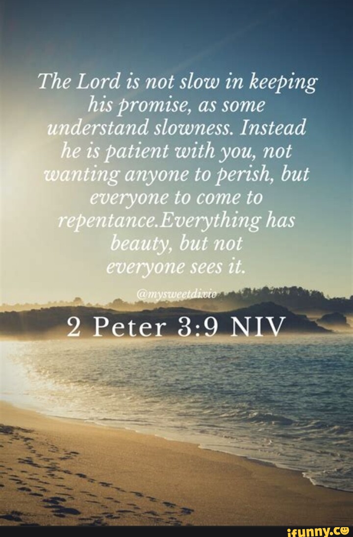 The Lord is not slow in keeping his promise, as some understand ...