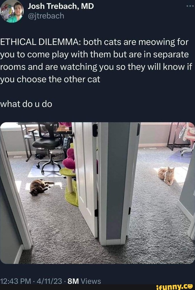 Trebach memes. Best Collection of funny Trebach pictures on iFunny