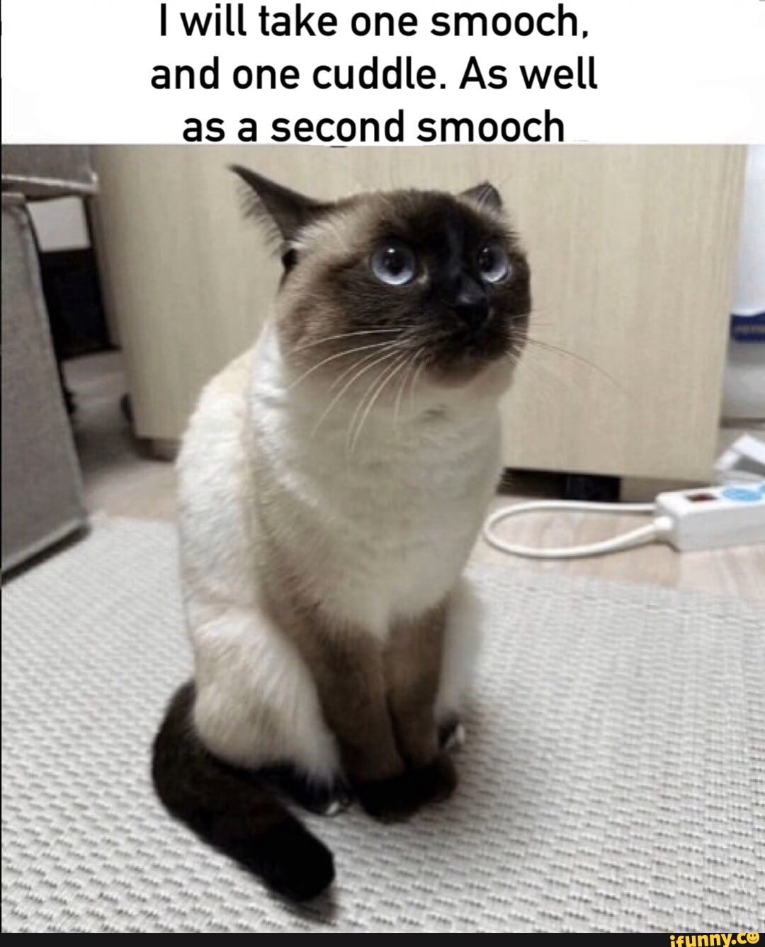 Smooch memes. Best Collection of funny Smooch pictures on iFunny