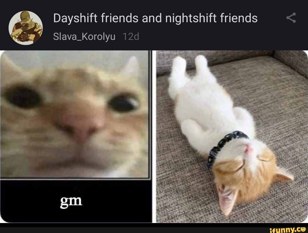 Dayshift memes. Best Collection of funny Dayshift pictures on iFunny