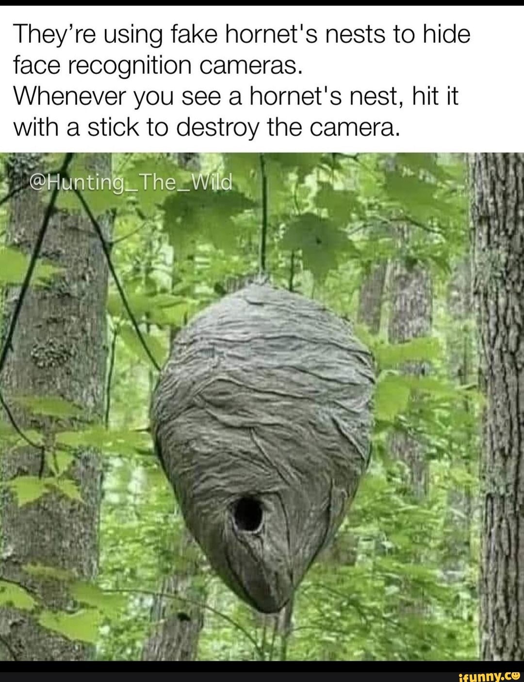 They're using fake hornet's nests to hide face recognition cameras ...