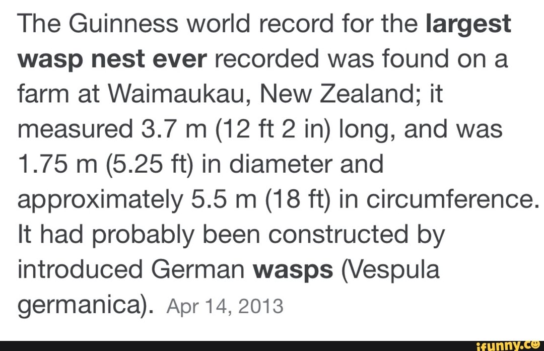 The Guinness world record for the largest wasp nest ever recorded was ...