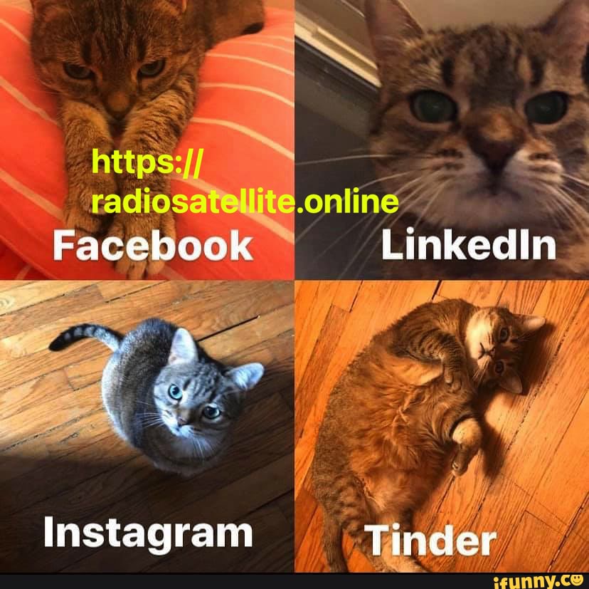 Tinder memes. Best Collection of funny Tinder pictures on iFunny