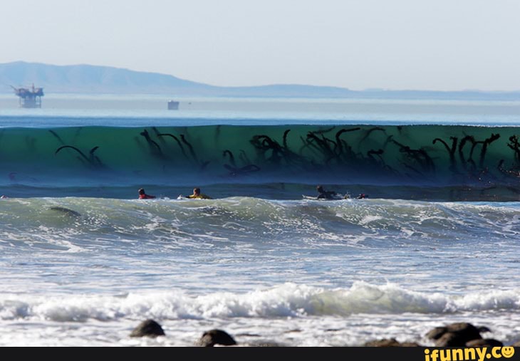 Cursed_sea memes. Best Collection of funny Cursed_sea pictures on iFunny