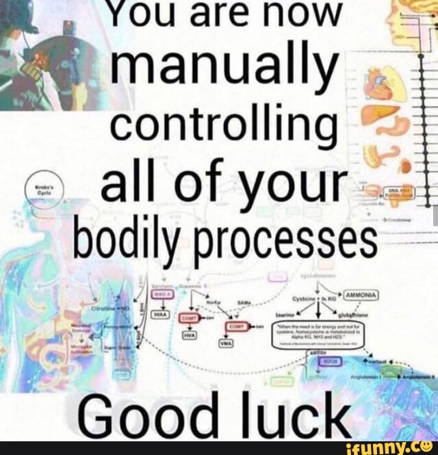 Manualblinking memes. Best Collection of funny Manualblinking pictures ...