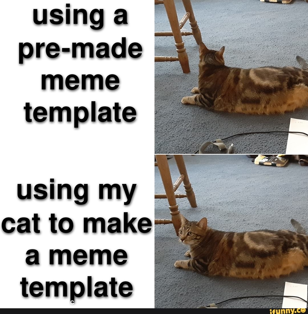 Using a pre-made meme template using my cat to make a meme template ...