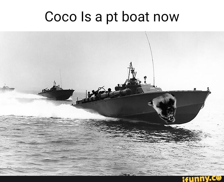 Coco Is a pt boat now - iFunny