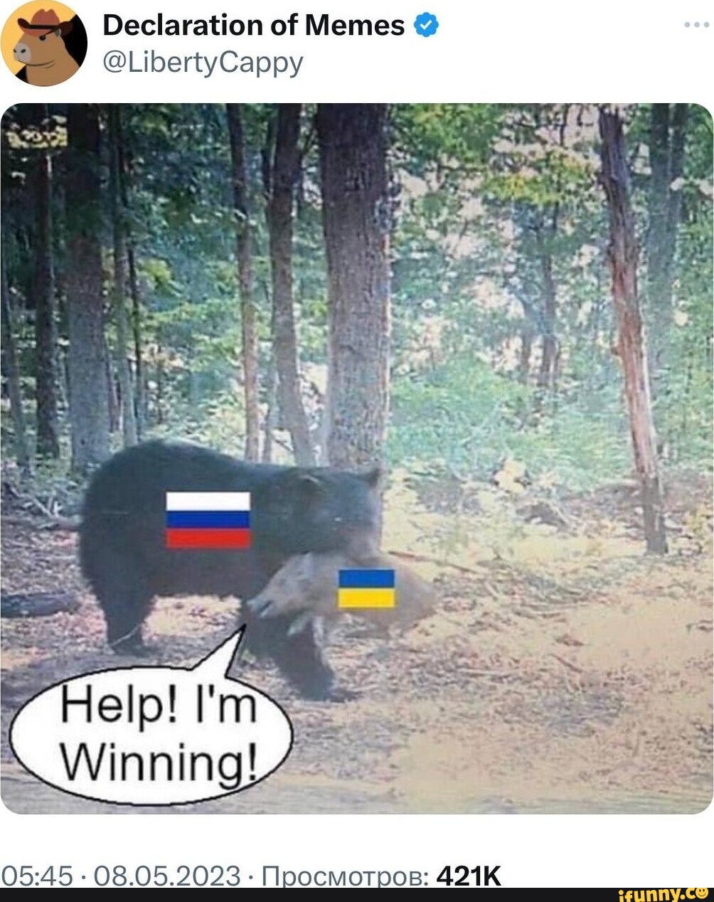 Declaration of Memes @ @LibertyCappy - iFunny