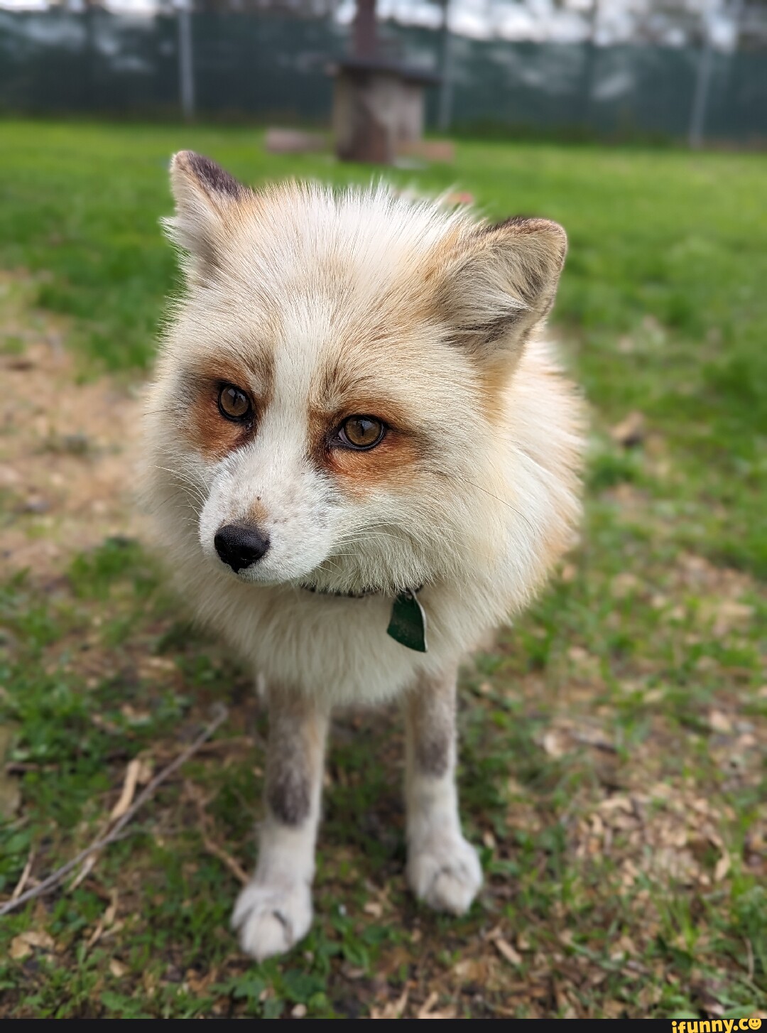 Tfm_skeeter memes. Best Collection of funny Tfm_skeeter pictures on iFunny