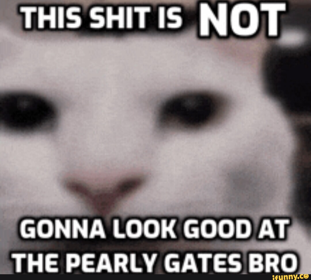 THIS IS NOT GONNA LOOK GOOD AT THE PEARLY GATES BRO - iFunny