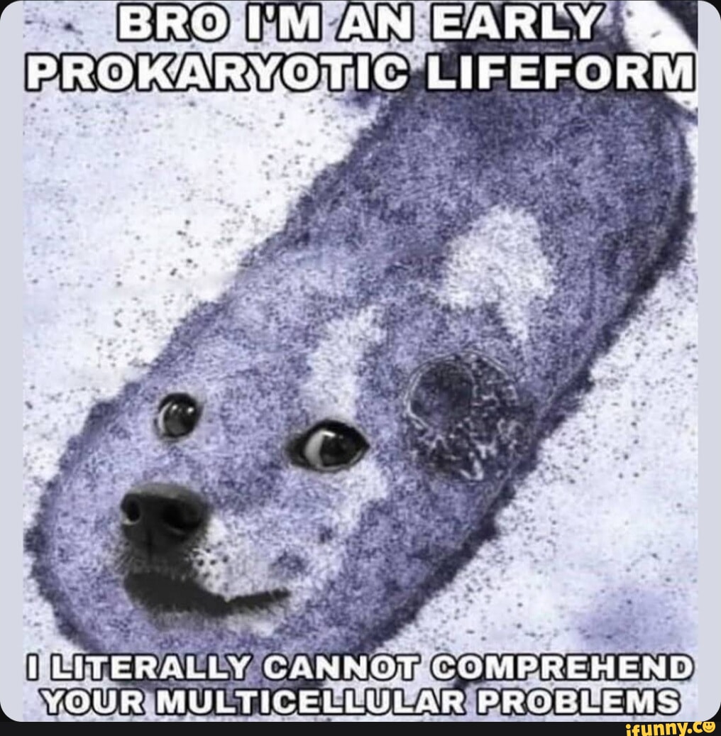 Lifeform memes. Best Collection of funny Lifeform pictures on iFunny