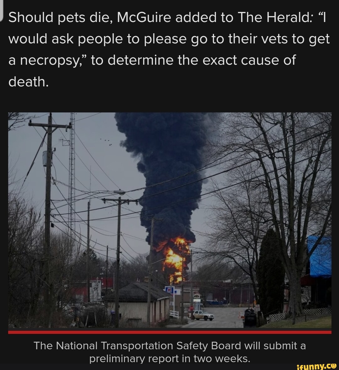 Necropsy memes. Best Collection of funny Necropsy pictures on iFunny