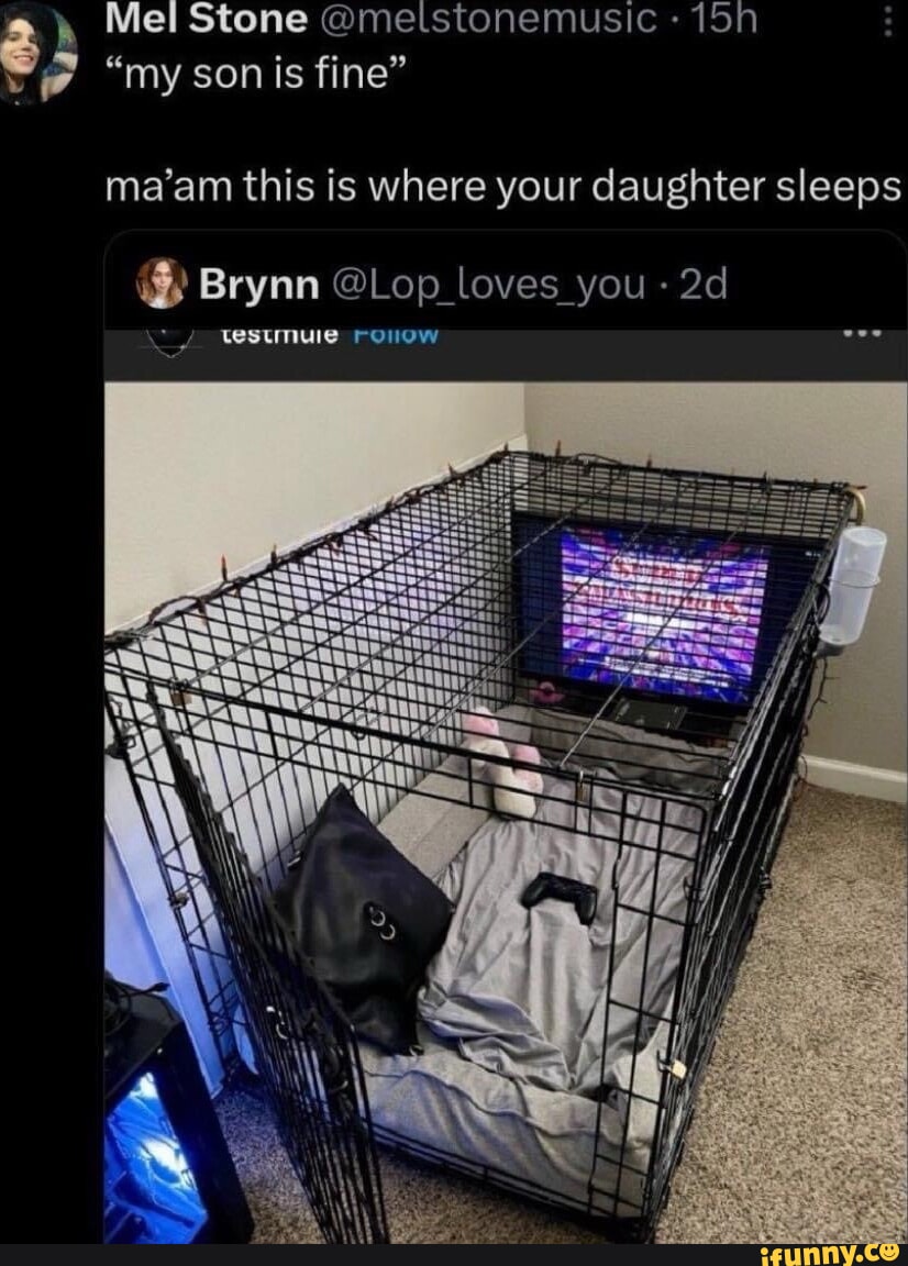 How to Wear a Plate Carrier A @cbrnart Basics Guide Introduction ...