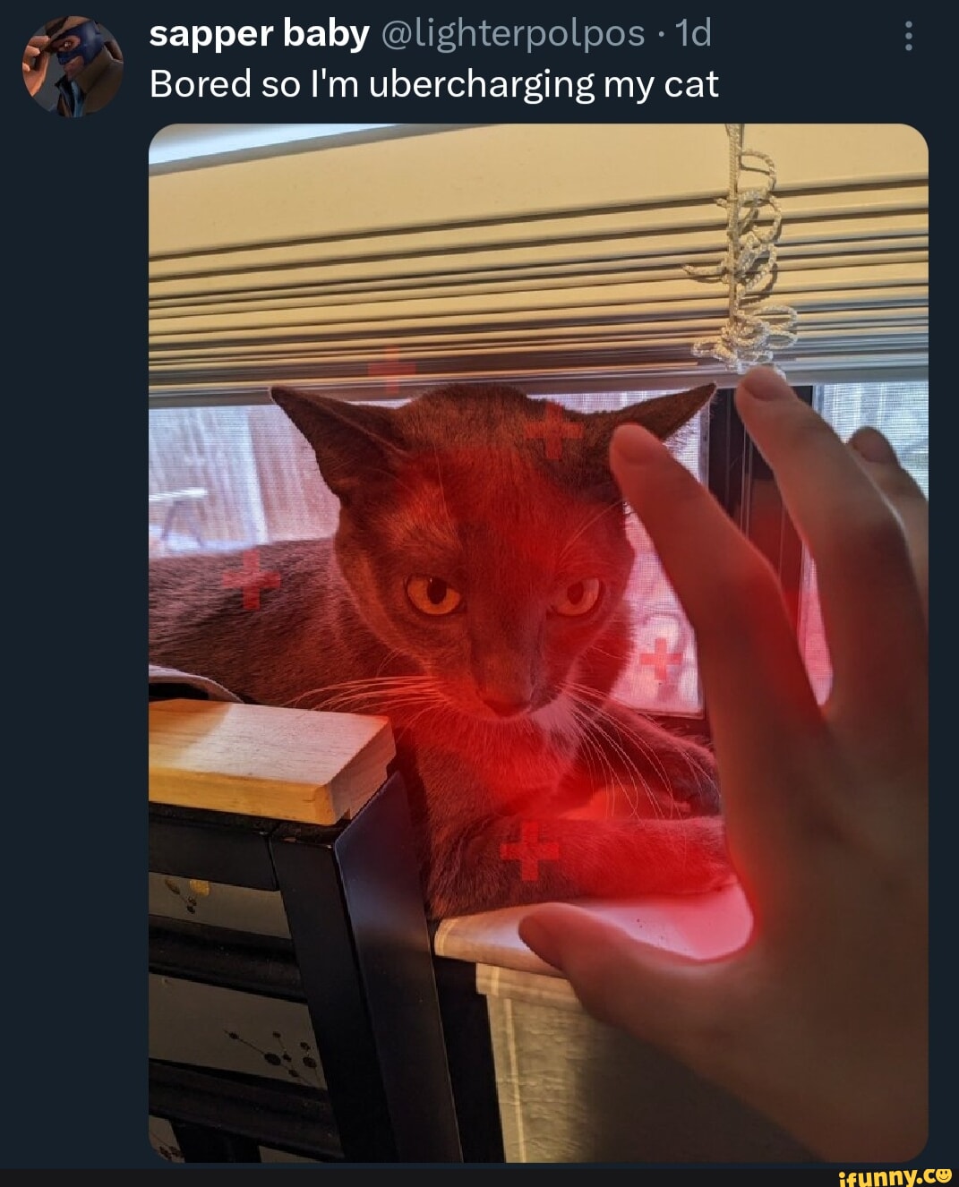 Best thing I've seen all day - iFunny