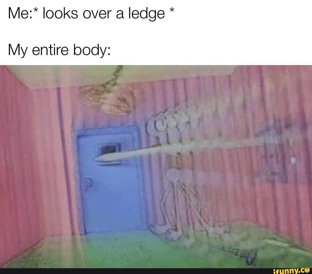 Me:* looks over a ledge My entire body: - iFunny