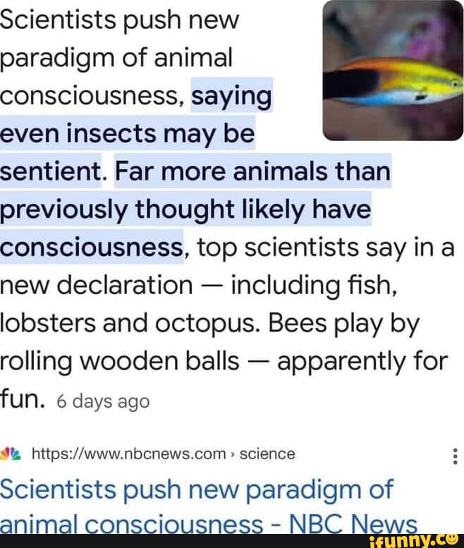 Paradigm memes. Best Collection of funny Paradigm pictures on iFunny