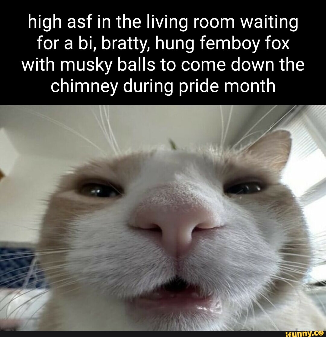 High asf in the living room waiting for a bi, bratty, hung femboy fox ...