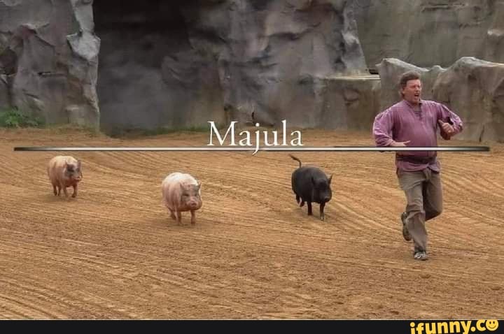 Majula memes. Best Collection of funny Majula pictures on iFunny