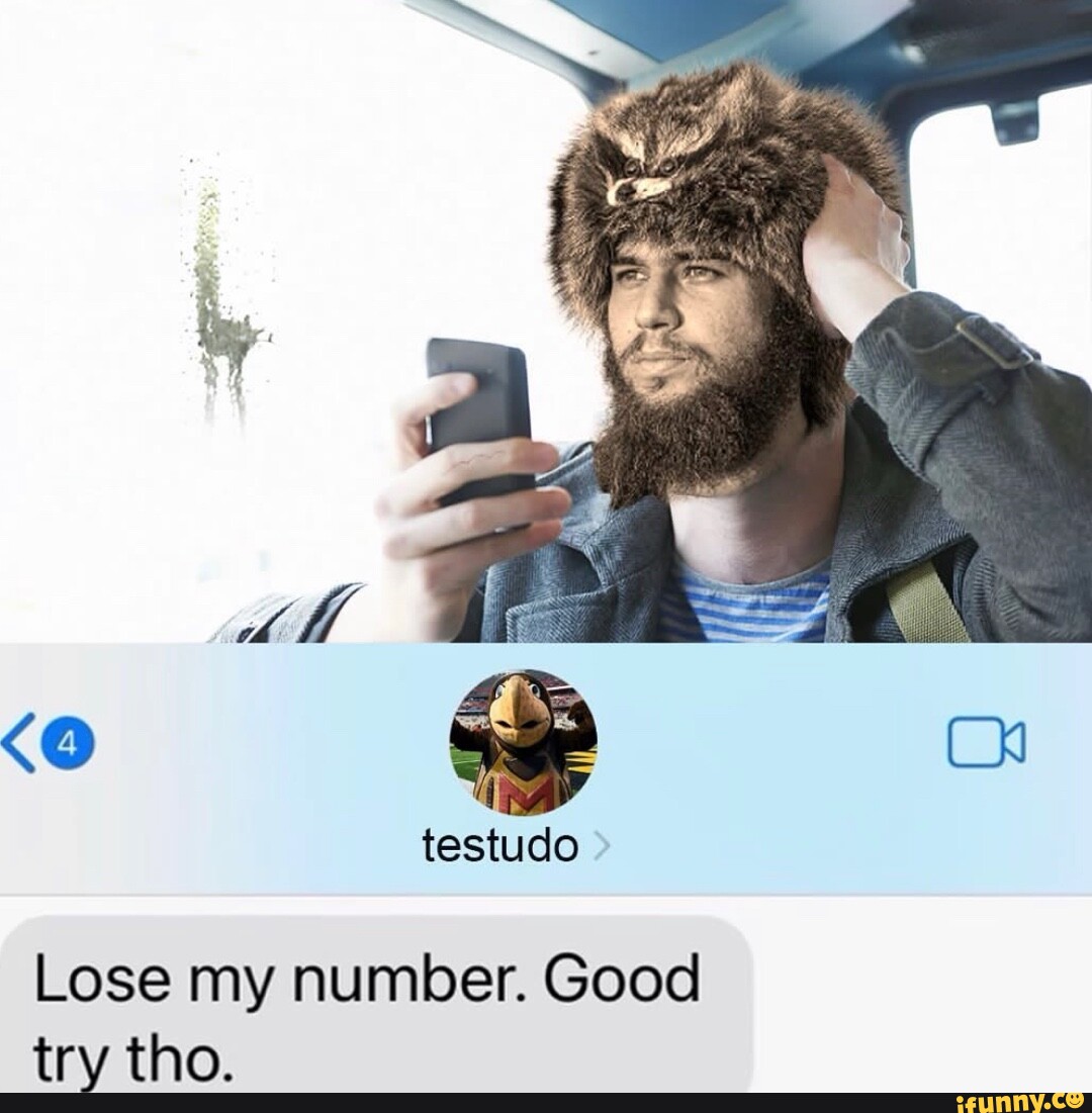 Testudo memes. Best Collection of funny Testudo pictures on iFunny